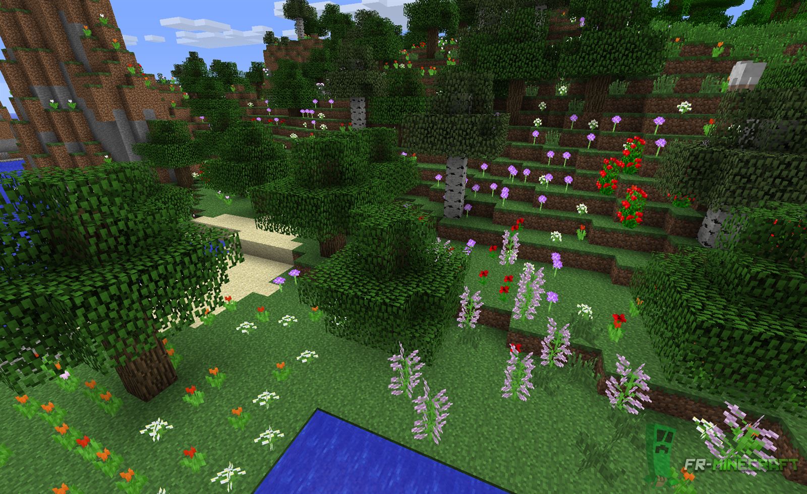 How Rare Are Flower Forest Biomes At Trudi Abbas Blog How Rare Are Flower Forest Biomes At Trudi Abbas Blog
