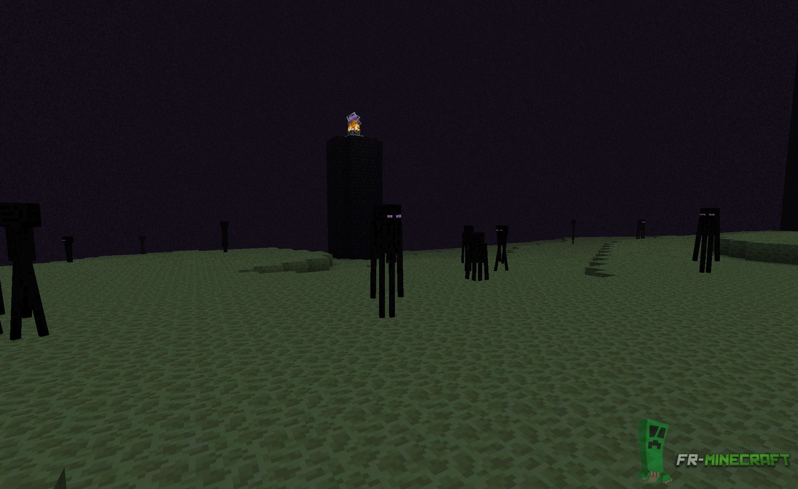 Minecraft : Biome The End