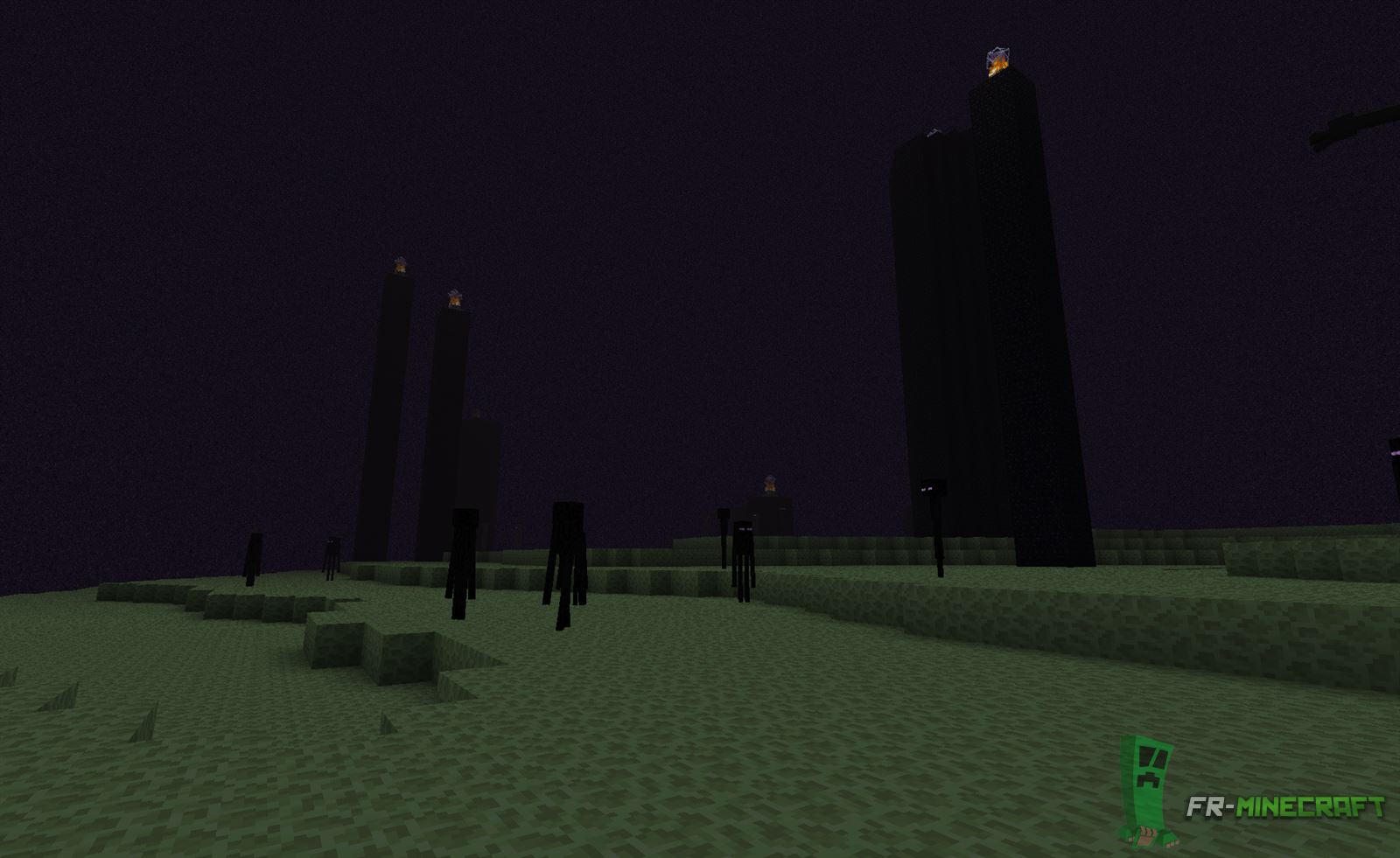 Minecraft : Biome The End